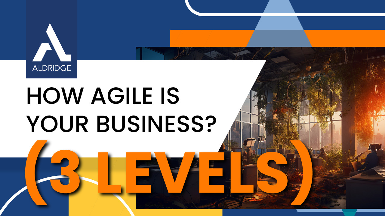 How Agile is Your Business? (3 levels) | Aldridge